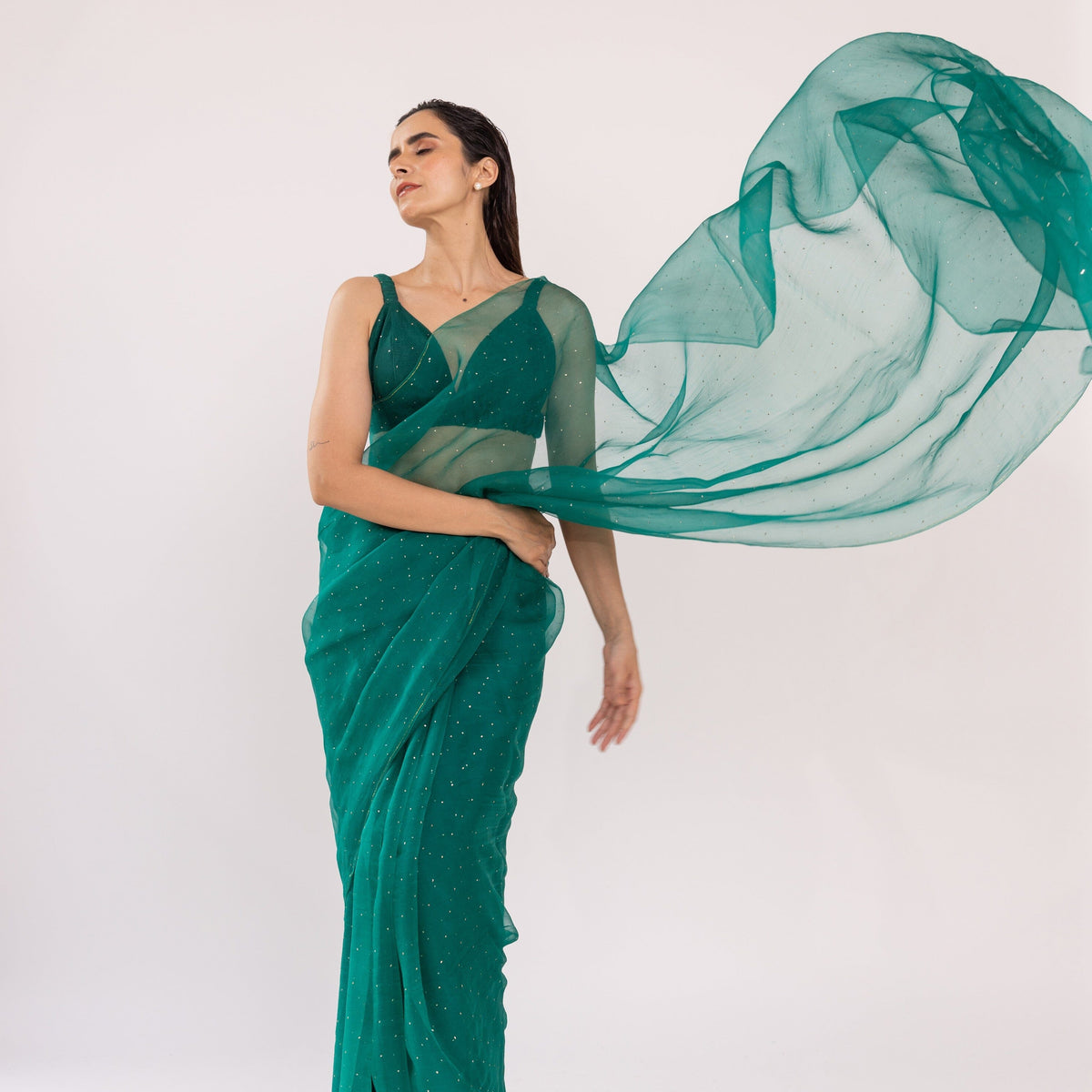 SHALEE MUKESH SILK ORGANZA SAREE – shopnavaa